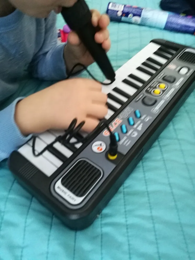 Kids Keyboard Electric Mini Toddler Piano - Life Changing Products