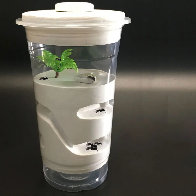 Homemade Ant Farm With Jar