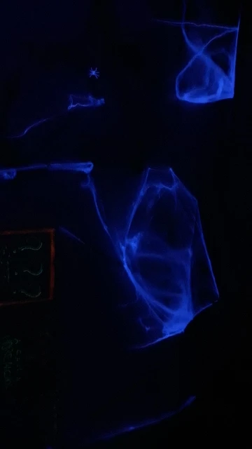 LED Torch Light UV Flashlight - Life Changing Products