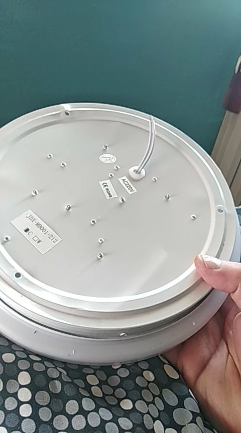 Ceiling Light Fittings LED Lamp - Life Changing Products