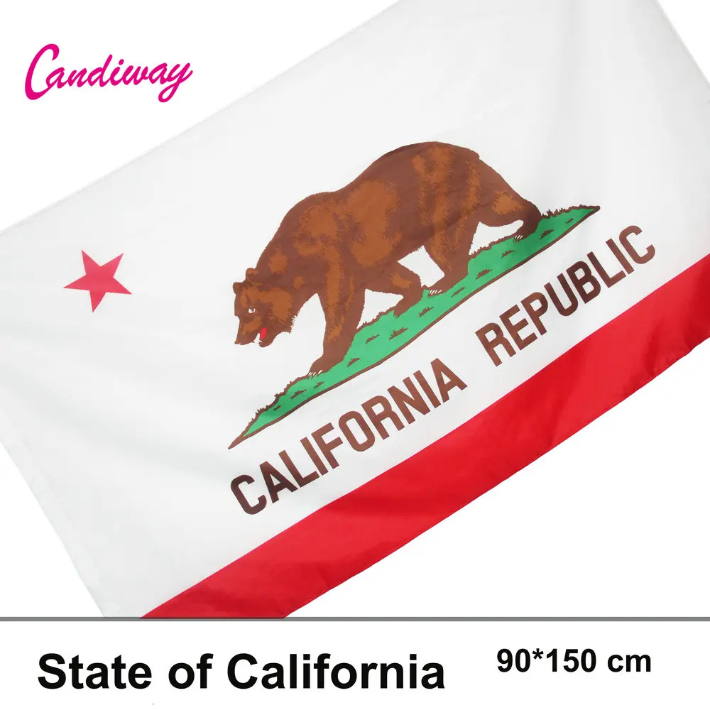 State-of-California-flag-90-x-150cm-United-States-flag-Banner-flag-Home ...