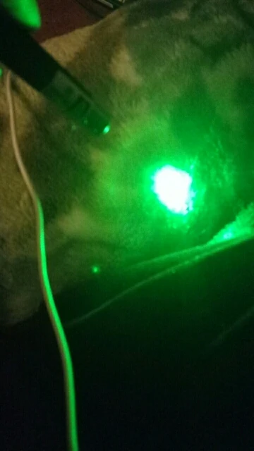 Green Laser Pointer Pen - Life Changing Products