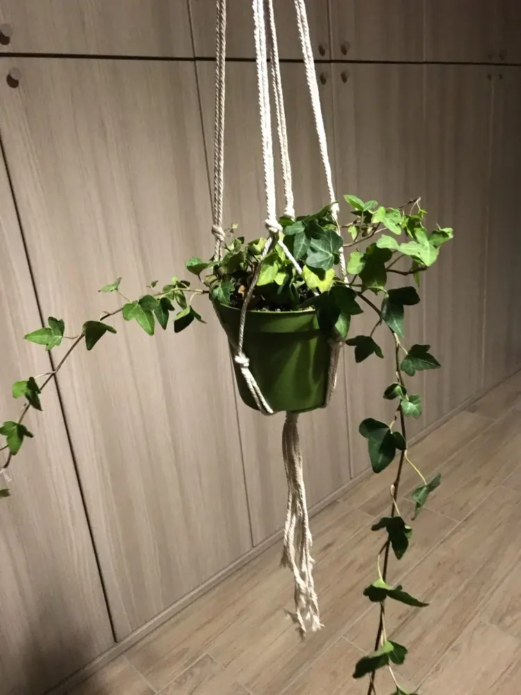 Handmade Macrame Cotton Rope Plant Pot Hangers - Life Changing Products