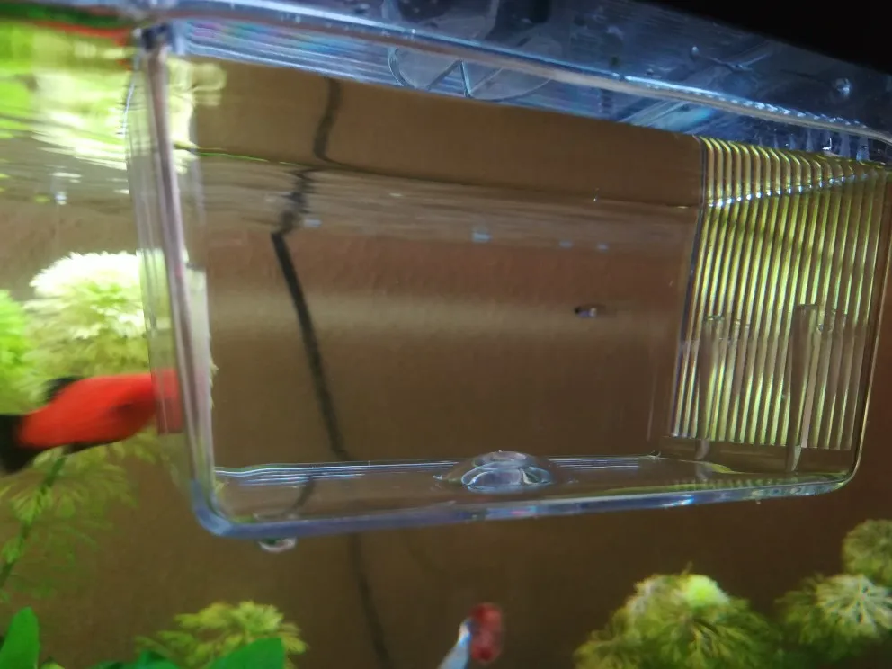 Fish Breeding Box Aquarium Accessory - Life Changing Products