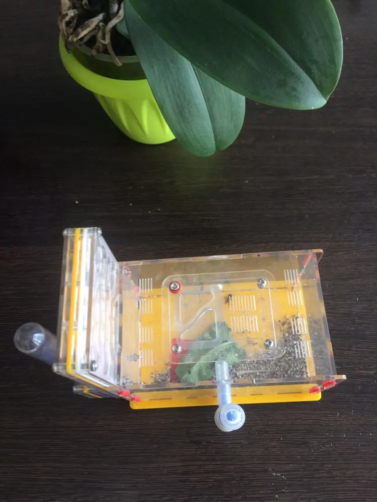 Ant Farm Nesting Box for Insects - Life Changing Products