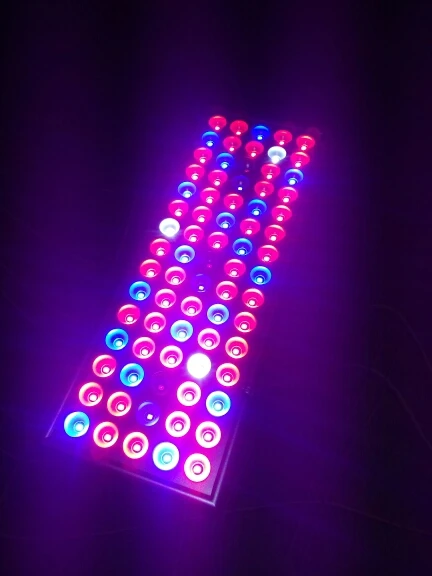 Full Spectrum Light LED Panel - Life Changing Products