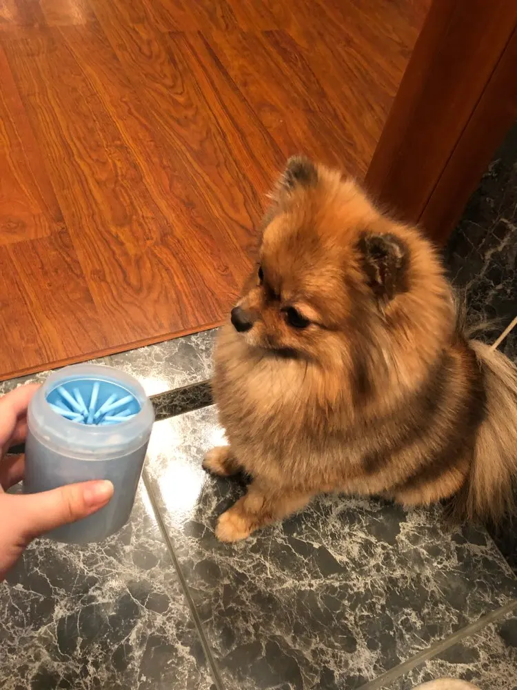 Dog Paw Cleaner - Life Changing Products