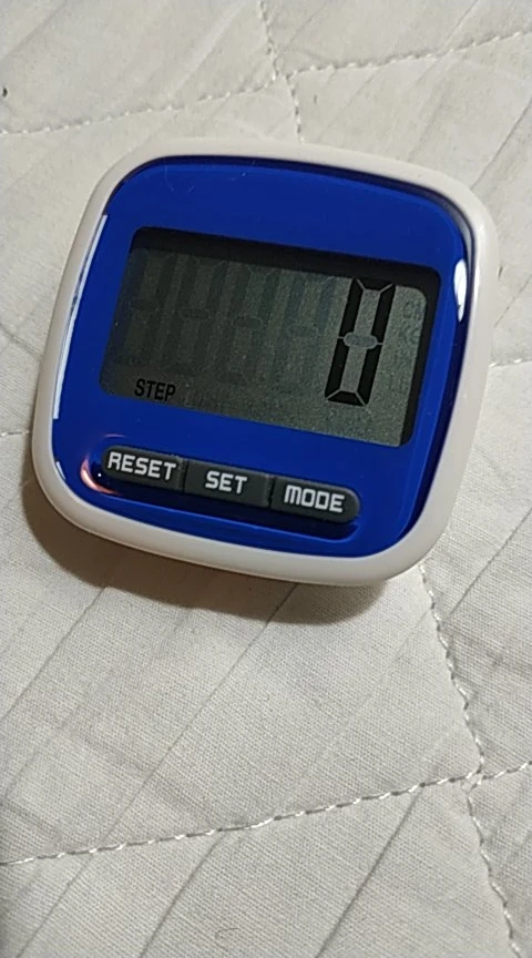 Portable Waterproof Step Counter - Life Changing Products