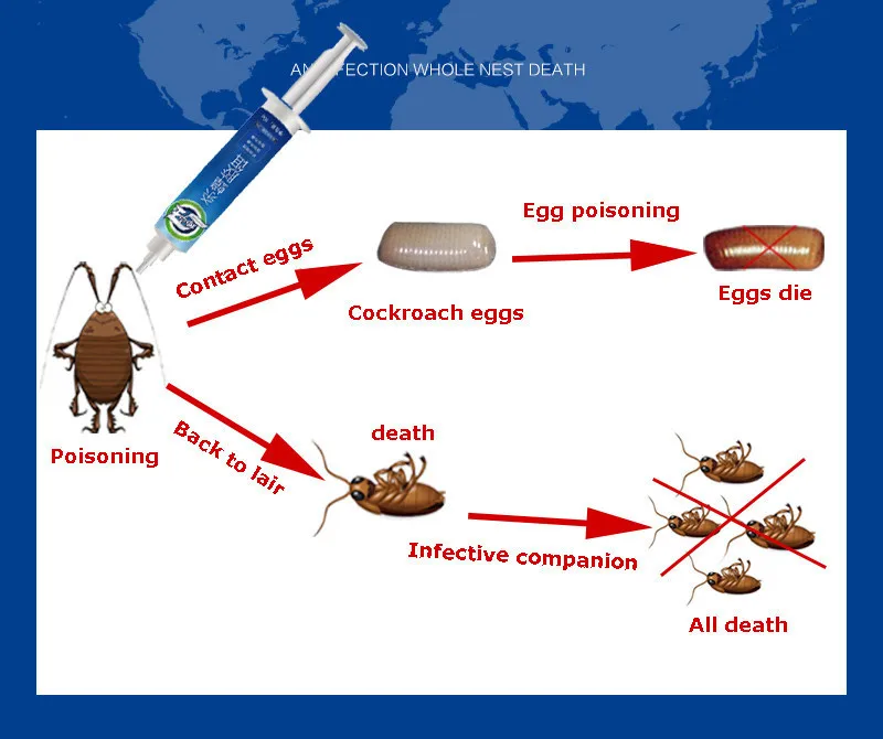 Cockroach Control: Get Rid Of Cockroaches Step-by-Step, 41% OFF