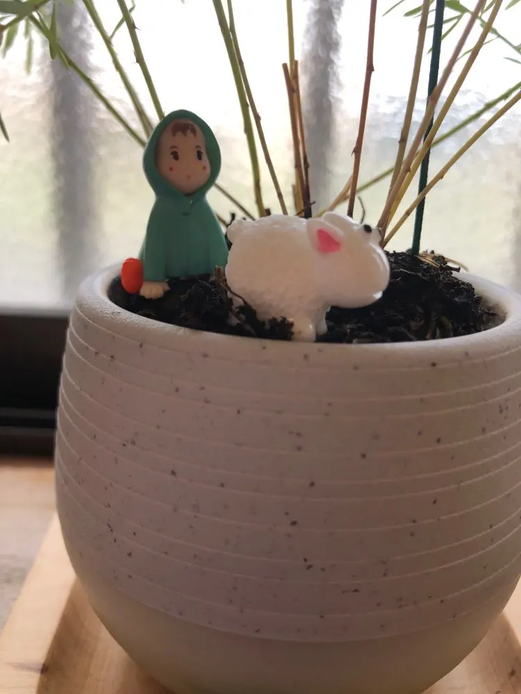 Plant Pots Happy Women Containers - Life Changing Products