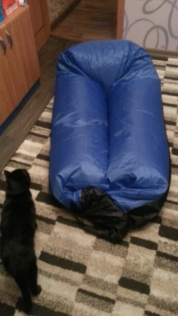 Inflatable Bounce Air Sofa Bed - Life Changing Products