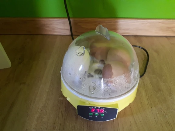 Egg Incubator Farm Brooder Kit - Life Changing Products