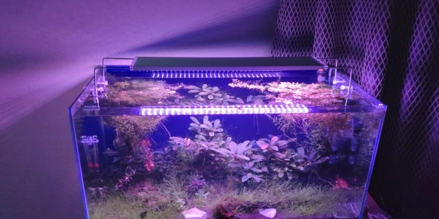 LED Fish Tank Lights Aquarium Lamp - Life Changing Products