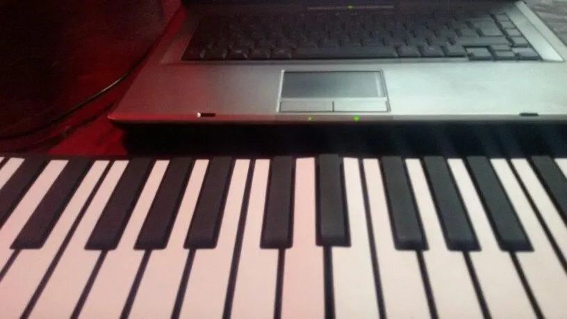 Portable Roll Up Piano Keyboard - Life Changing Products