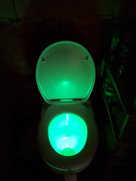 LED Bathroom Lights Toilet Lamp - Life Changing Products
