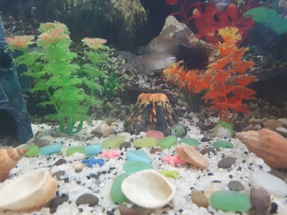 Volcano Fish Tank Decoration Oxygen Source for Aquatic Animals