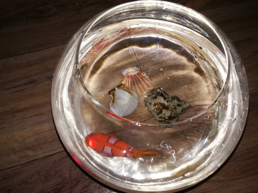 Robo Fish Toy Robot Fishing Toy for Kids Fun Water Play