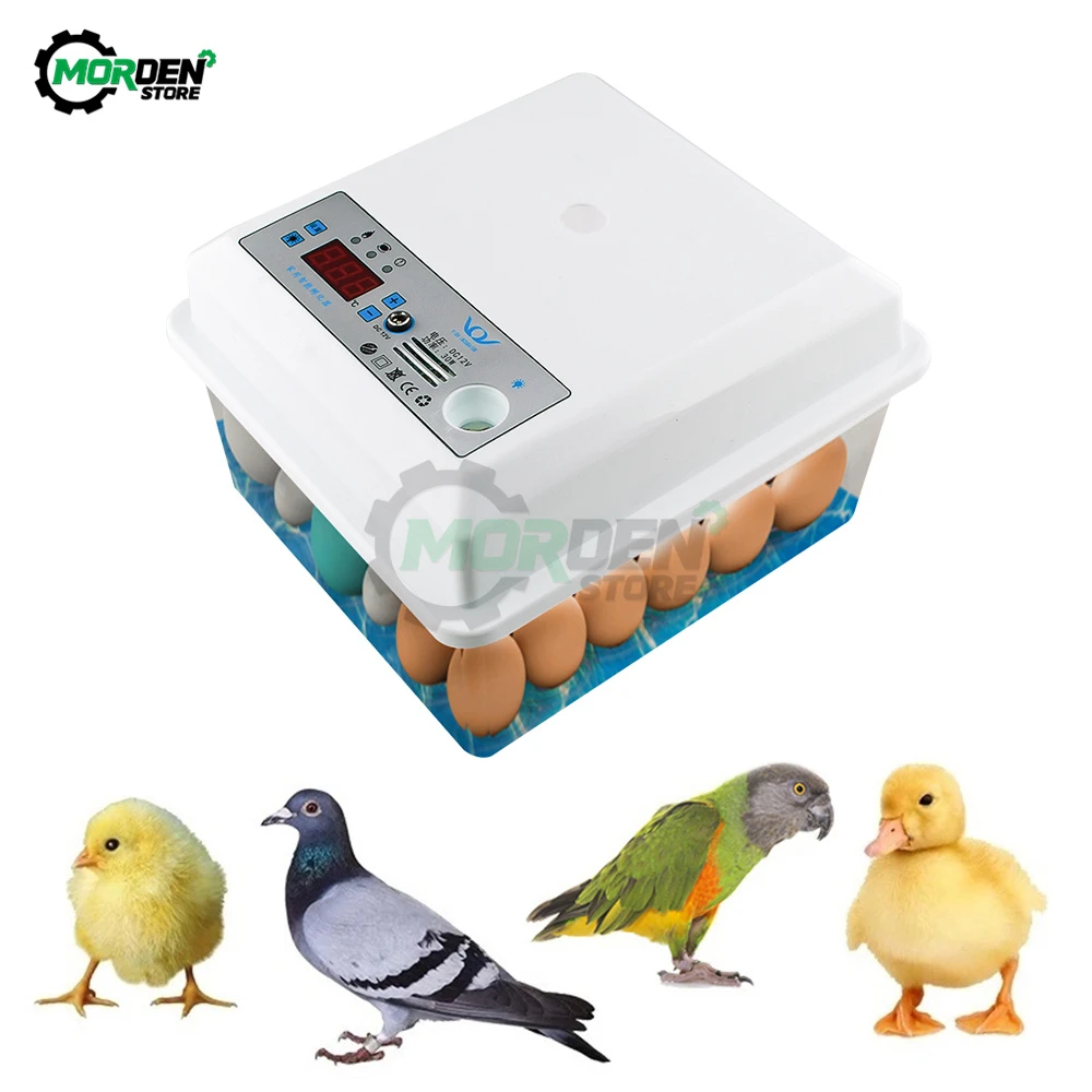 20 Eggs Household Incubator Small Plastic Bionic Water Bed Incubator ...