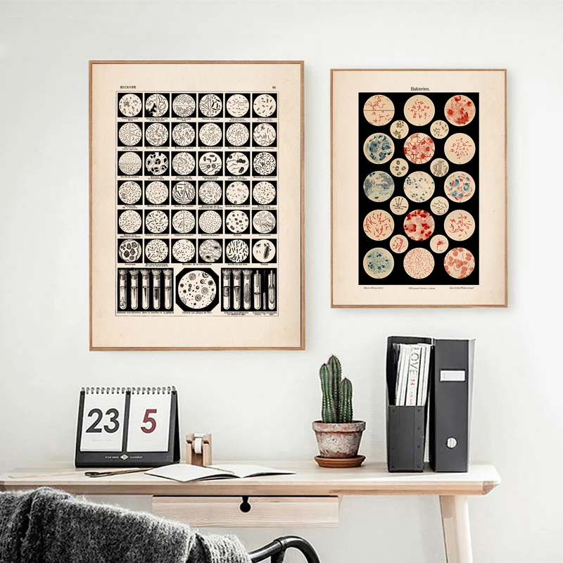 Microbiology-Bacteria-Microbe-Art-Print-Old-Medicine-Poster-Science ...