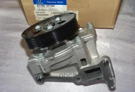 251002F700 KIA COOLANT PUMP| | - AliExpress