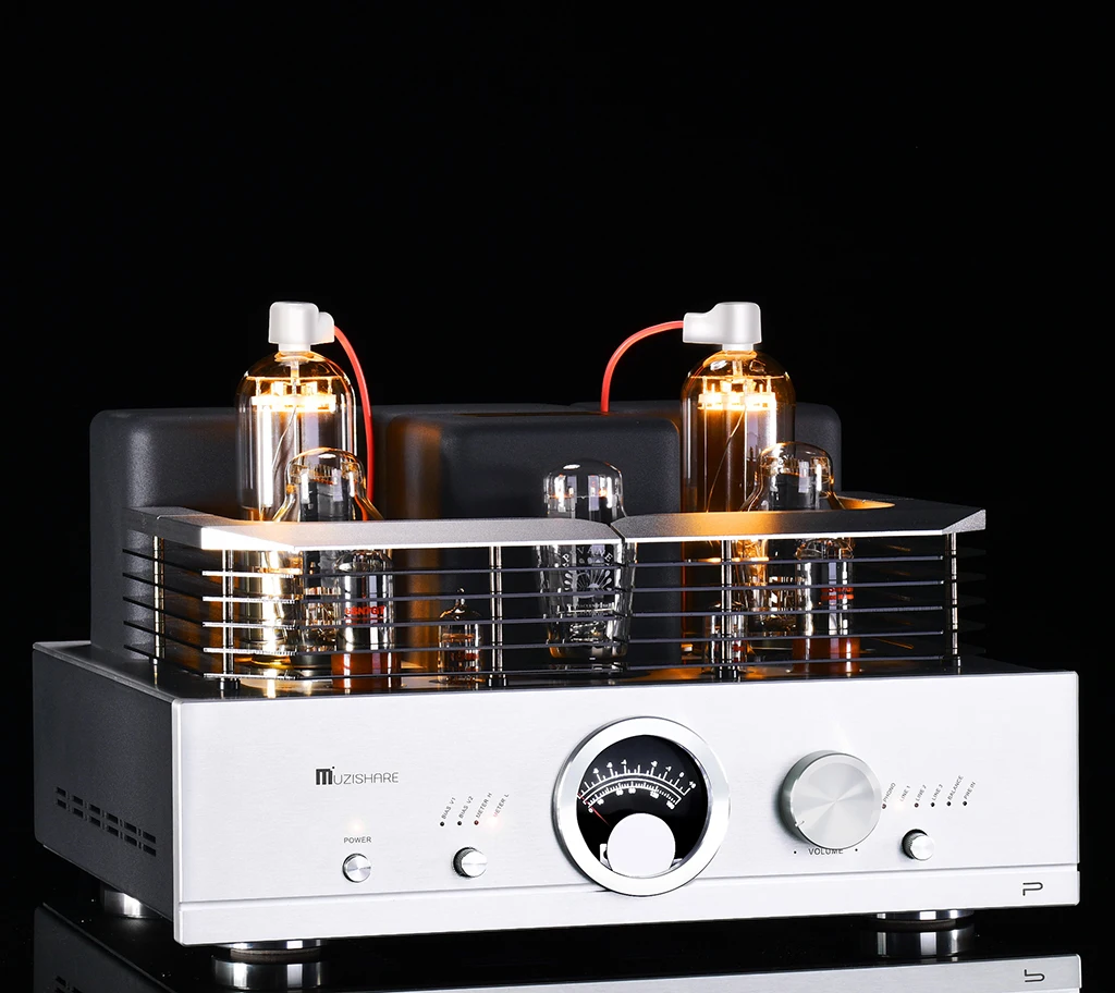 MUZISHARE R100 845 805 211 Tube Amplifier