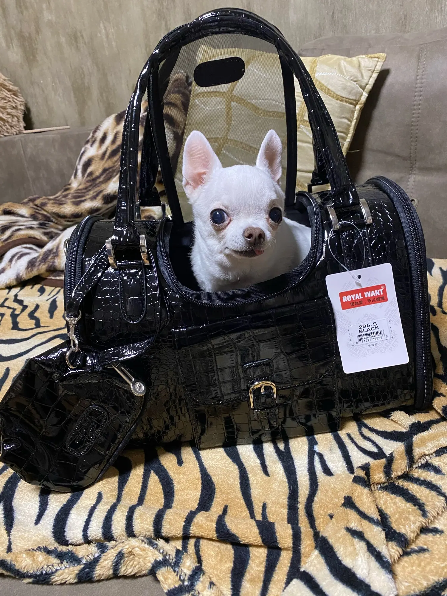 DogMEGA Small Dog Carrier Purse | Pet Carrier Bag | Cat Carrier Purse ...