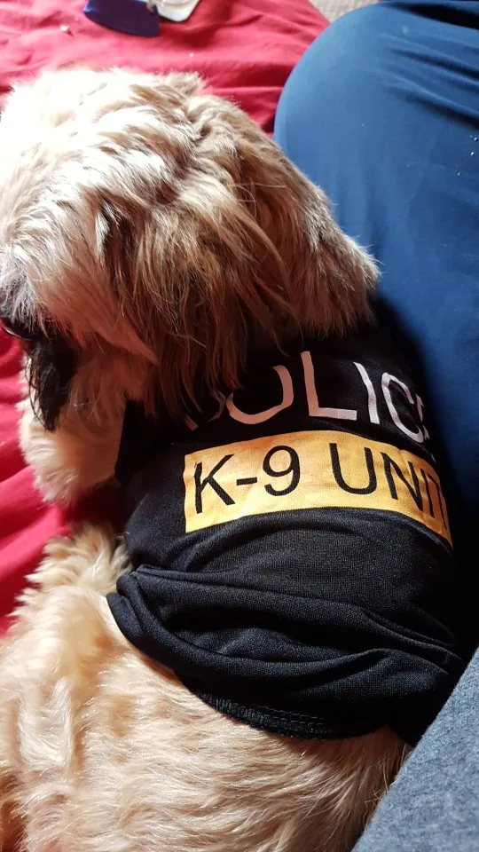 Dog Cop Costume Pet Cosplay Vest - Life Changing Products
