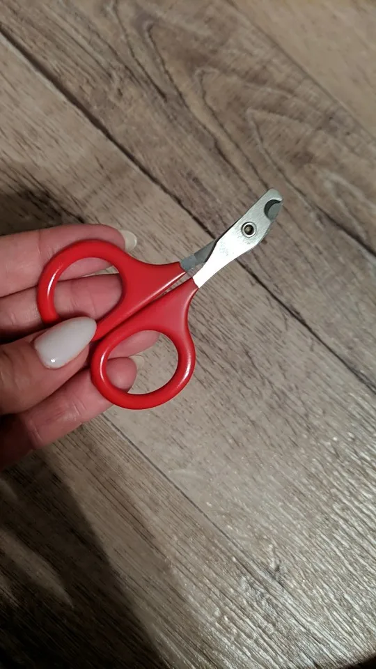 Safety Claw Cutter | Petsmaker Store