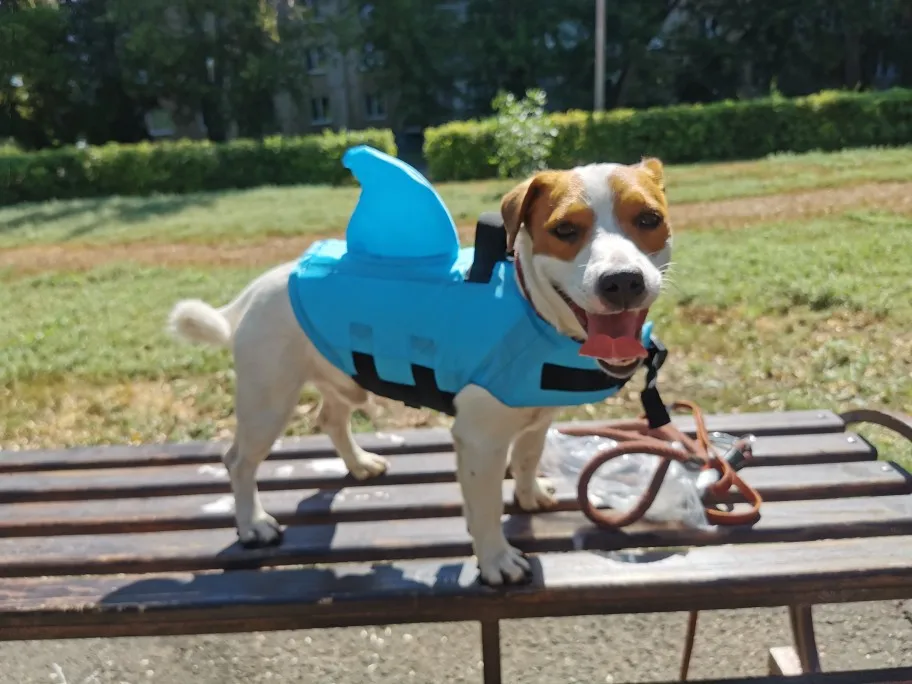 MEGA Dog Shark Life Jacket | Shark Life Vest for Dogs | Dog Life Jacket ...