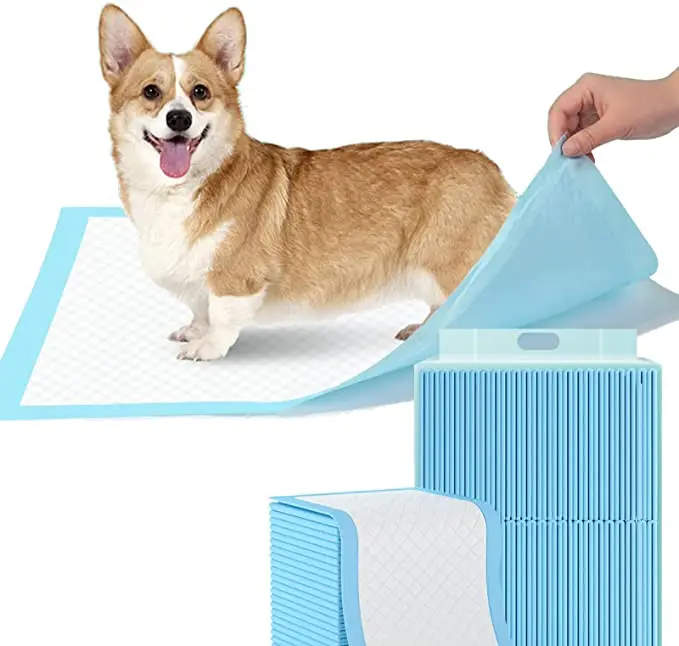 Empapadores Perros Alfombrilla desechable higiénica de Entrenamiento de ...