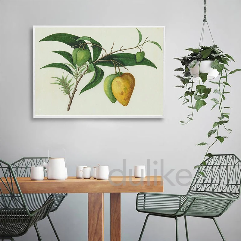 Lukisan Buah Mangga
