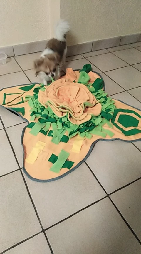 Snuffle Pad for Dogs | Puppy Snuffle Mat | Snuffle Mat - DogMega.Com
