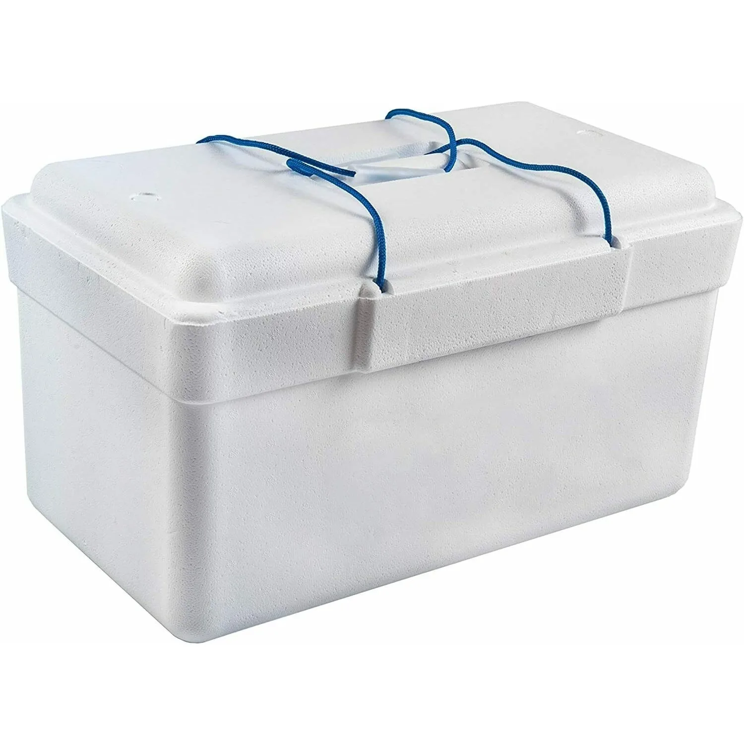 Nevera portátil Corcho de poliespán Con Cuerda o Asa plástica, para ...