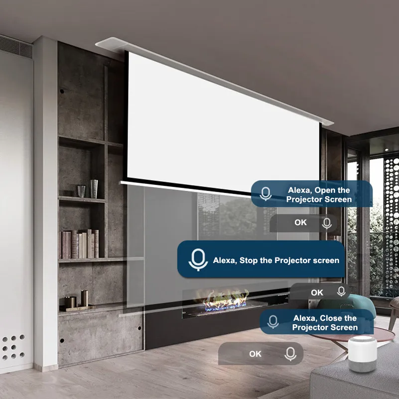 Diwell Motorized Built Hidden In Ceiling Projection Screen, DWSP-9 ...