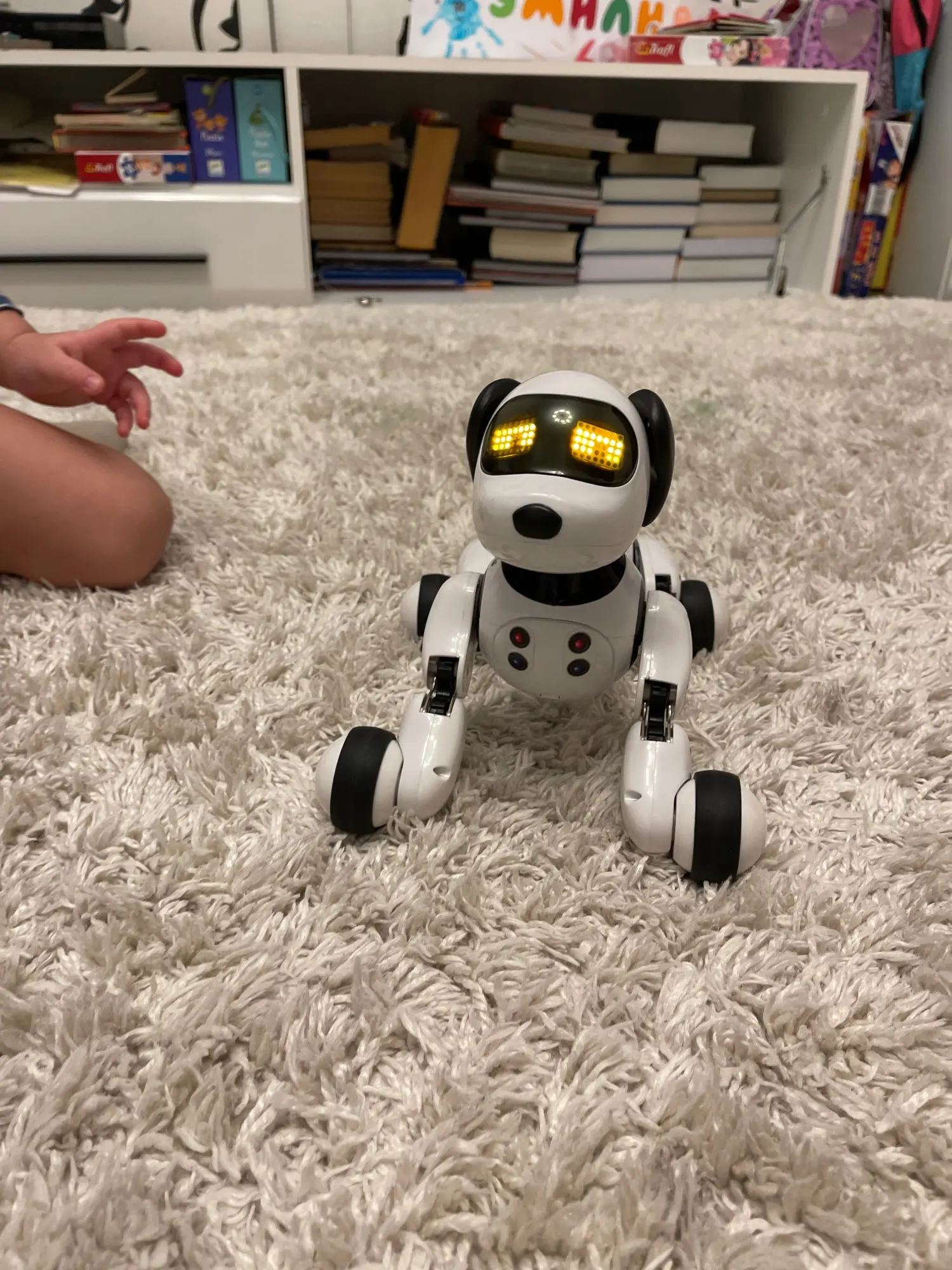 Buy RC Robot Dog Online | Dog's Love Store