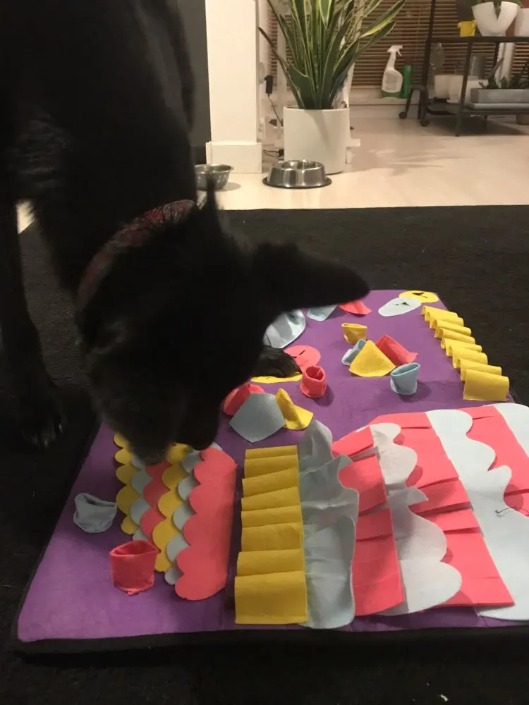 Snuffle Pad for Dogs | Puppy Snuffle Mat | Snuffle Mat - DogMega.Com