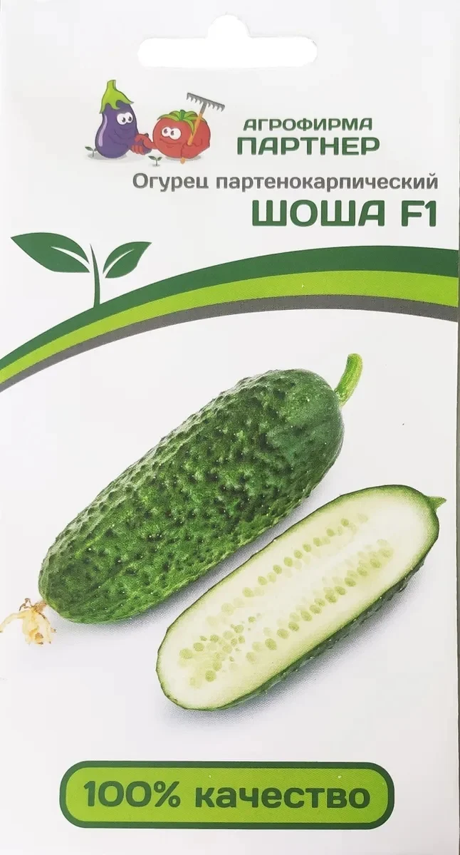 Seeds-cucumber-F1-5-PCs-partner.jpg