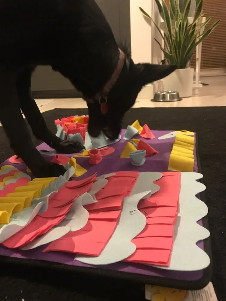 Snuffle Pad for Dogs | Puppy Snuffle Mat | Snuffle Mat – DogMega.Com