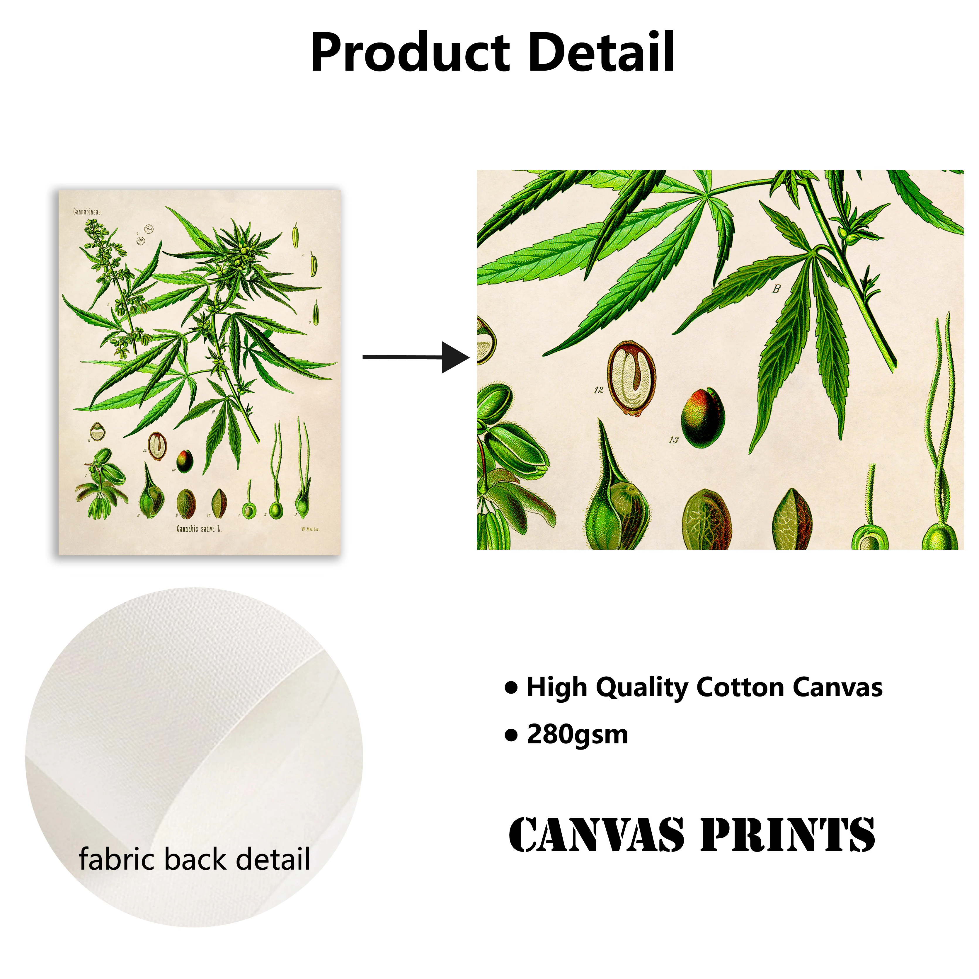 Types Of Weed Posters