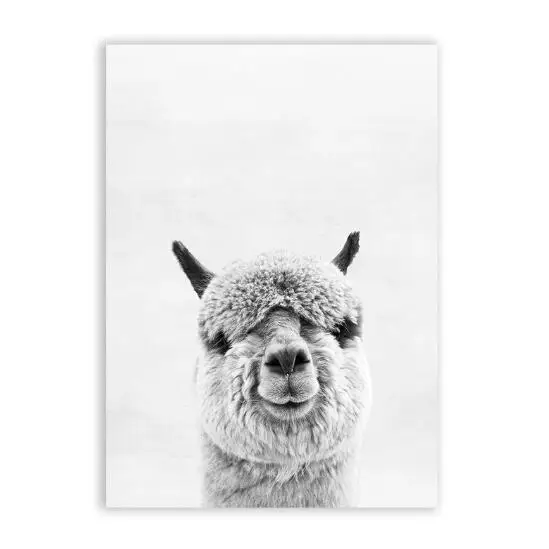 alpaca print,alpaca wall art,nursery print,alpaca animal,printable ...