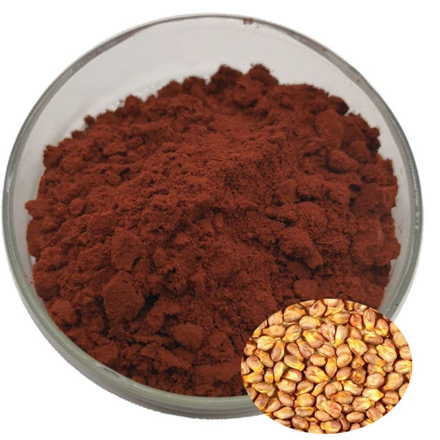 Grape Seed Extract Powder