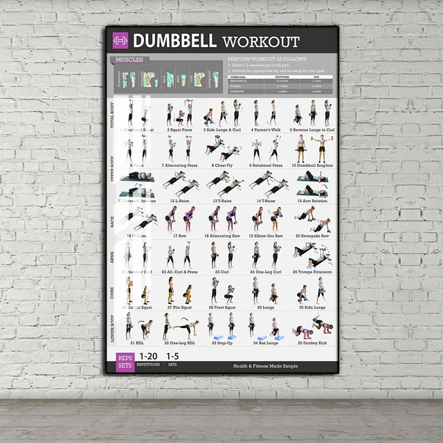 Complete Dumbbell Workout Chart