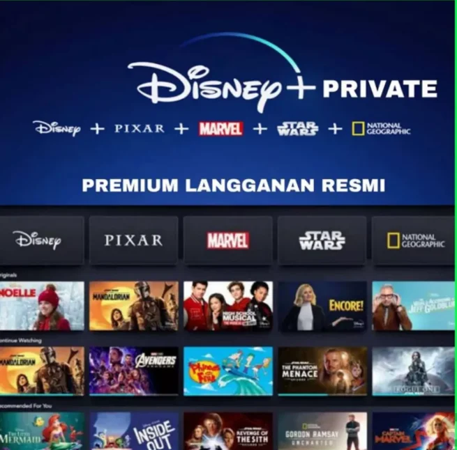 Disney Plus Account Mail Access Disney + Premium Subscription One Year Subscription Fast ...